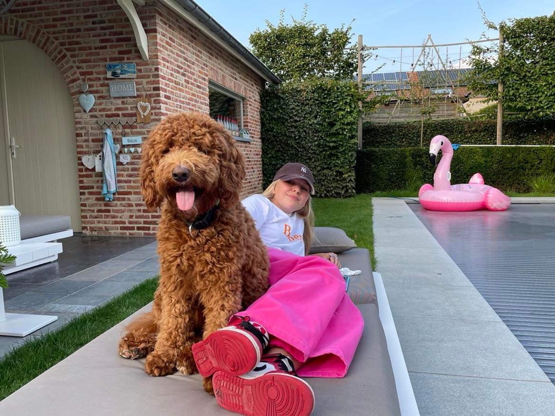 Onze honden – Maison ChaBelle – Australian Labradoodles